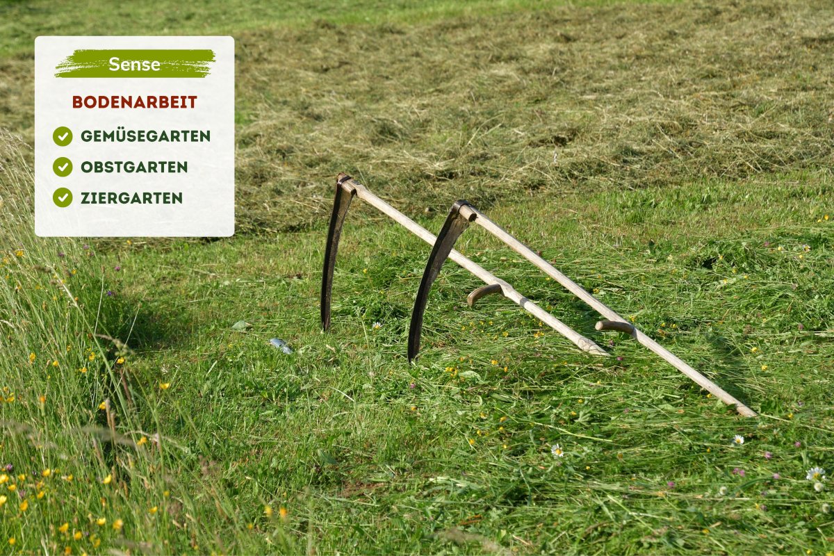 Gartengeräte: 15 praktische Werkzeuge erleichtern die Arbeit